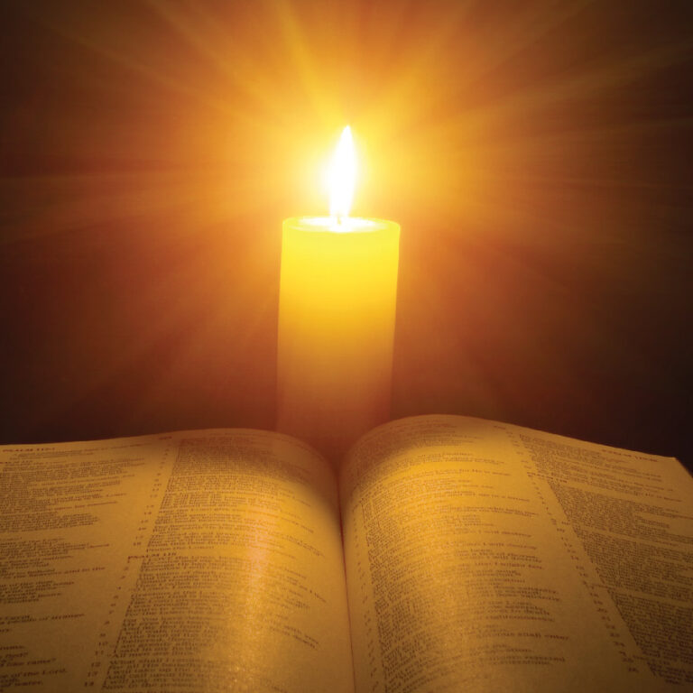 Connie Elena Marshall - Greco-Hertnick Funeral Home and Cremation ...